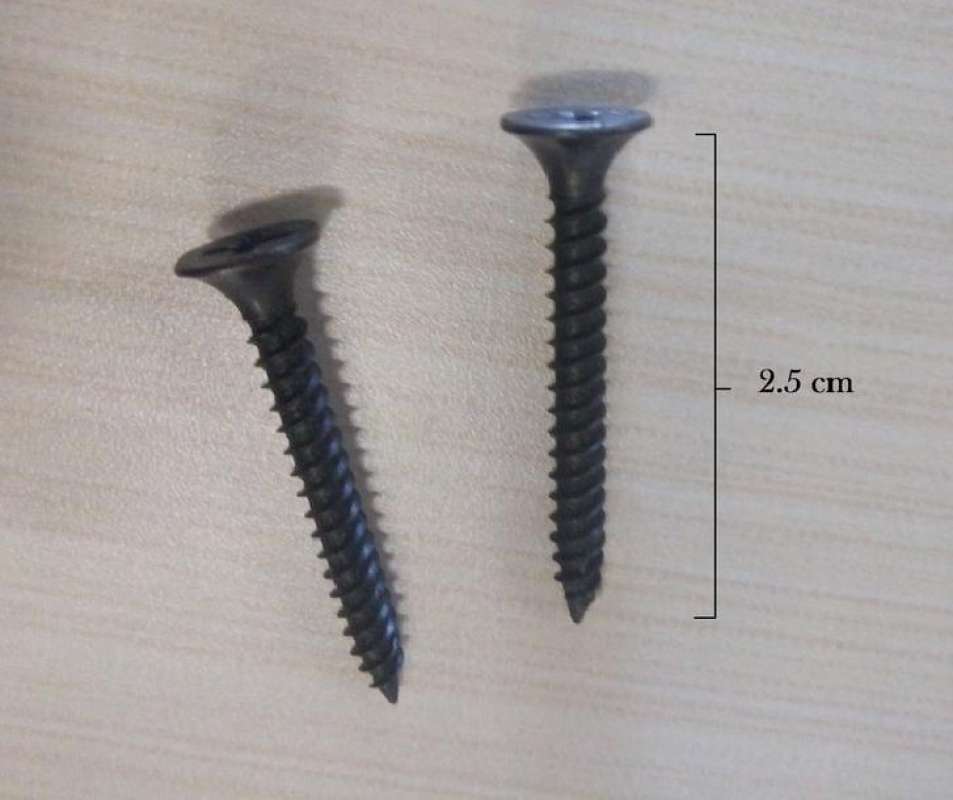 Jual (#6 x 2.5 cm) Skrup Gipsum / Sekrup Gypsum / Drywall Screw (10 PCS ...