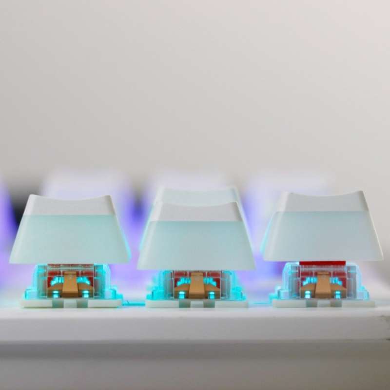 Jual Rexus Mx9p / Mx9 Pudding Tkl Rgb Gaming Keyboard - Brown Switch ...