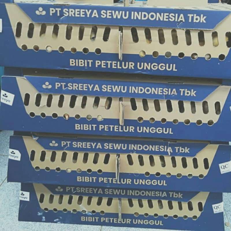 Promo Doc Ayam Petelur Pt Sreeya Minimal 10 Box Diskon 17% Di Seller ...