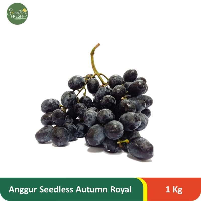 Jual Anggur Autumn Royal Usa Terdekat 🏷️ Harga Grosir Murah Terupdate ...