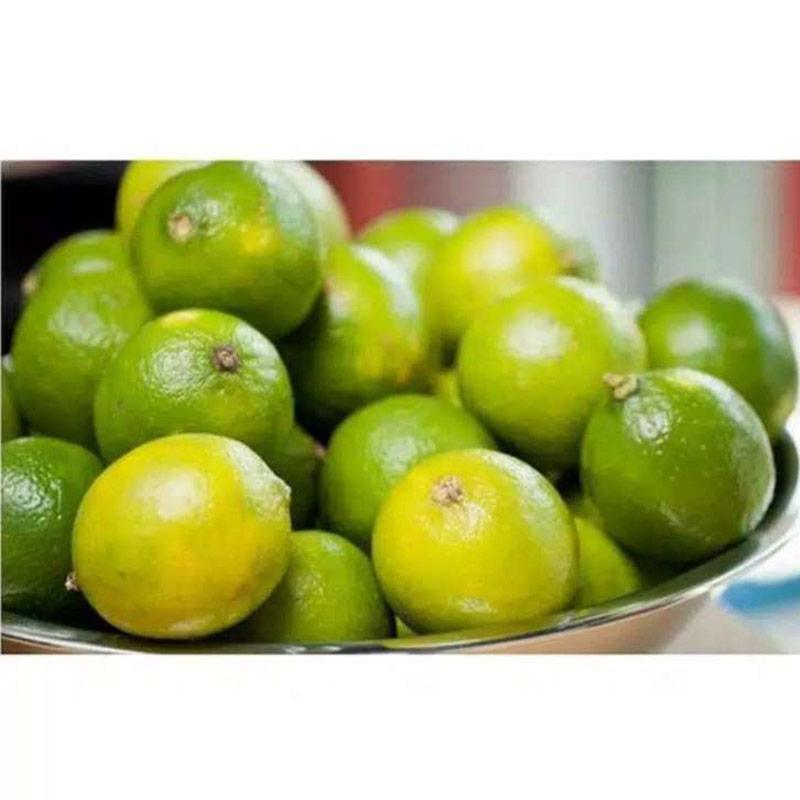 Jual Jeruk Nipis Kencana Fresh Jeruk Nipis [1 kg] Halal di Seller ...