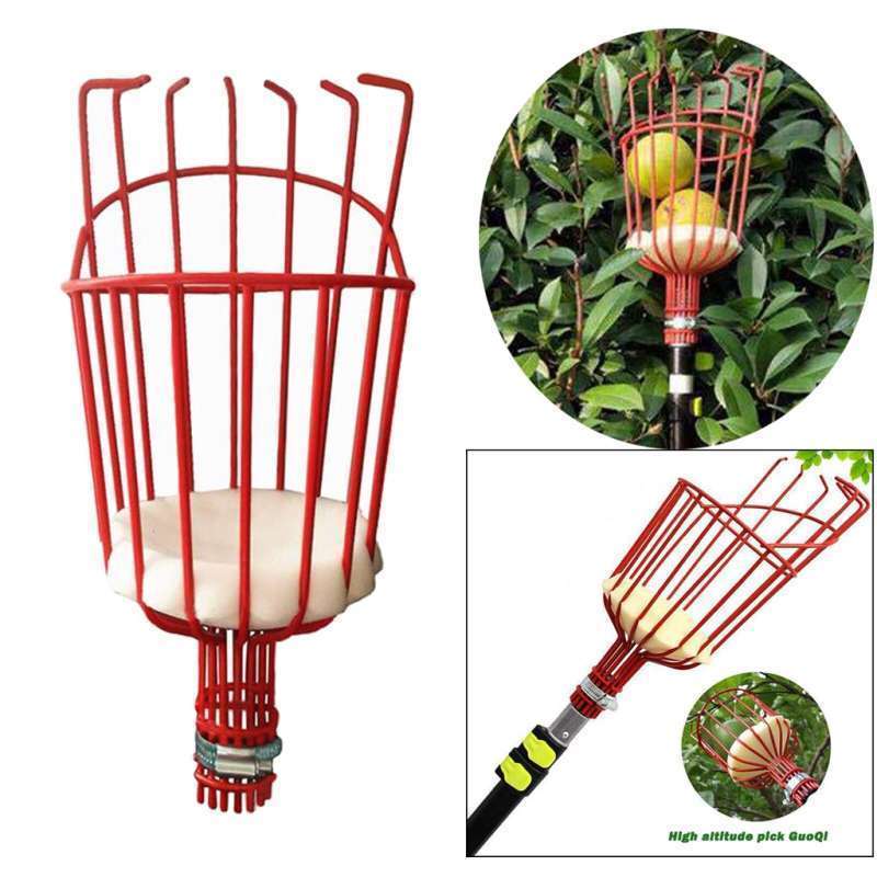 Jual Alat Pemetik Buah. Alat Pengambil Buah. Peralatan Memetik Buah ...