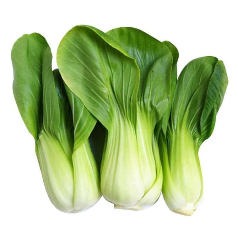 Promo Simply Fresh Hydroponic Pakcoy 250gr Diskon 47% di Seller BLIBLI ...