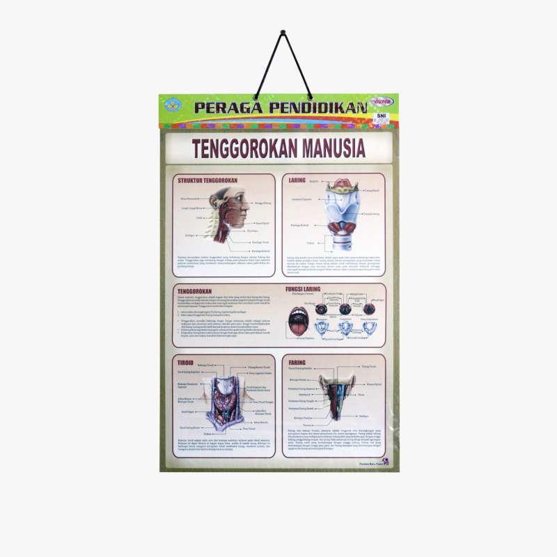 Jual POSTER PERAGA PENDIDIKAN |21| PUSTAKA BARU PRESS BAHAN : Art Paper ... Jual POSTER PERAGA PENDIDIKAN |21| PUSTAKA BARU PRESS BAHAN : Art Paper ...