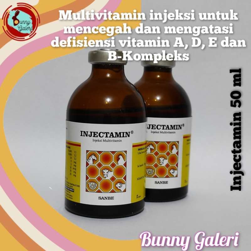 Promo Multivitamin Injeksi Injectamin 50 Ml Mengatasi Defisiensi ...