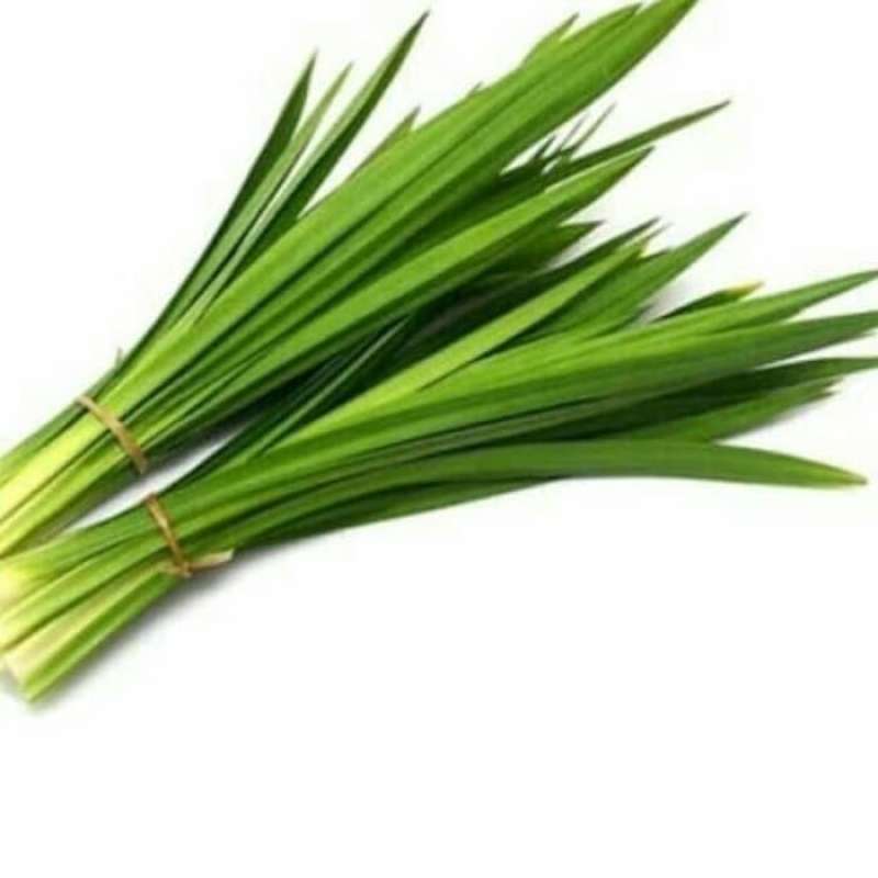 Jual Daun Pandan - Asli Segar Dari Kebun di Seller HIDAYAT STORE IND ...