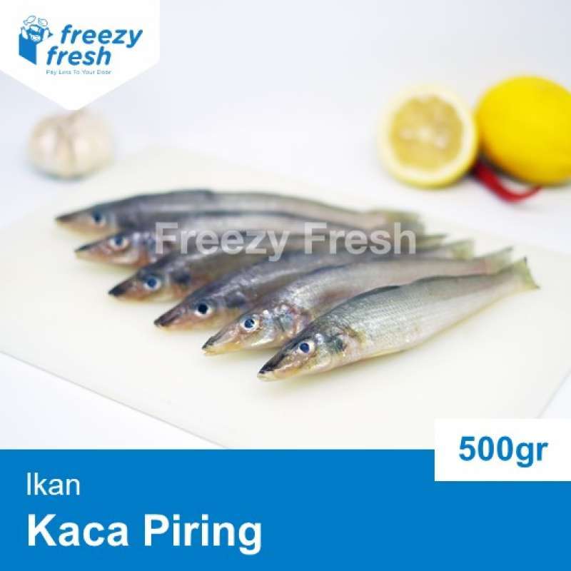 Jual FREEZY FRESH Ikan Kaca Piring Glass Plate Fish [500g] Halal di ...