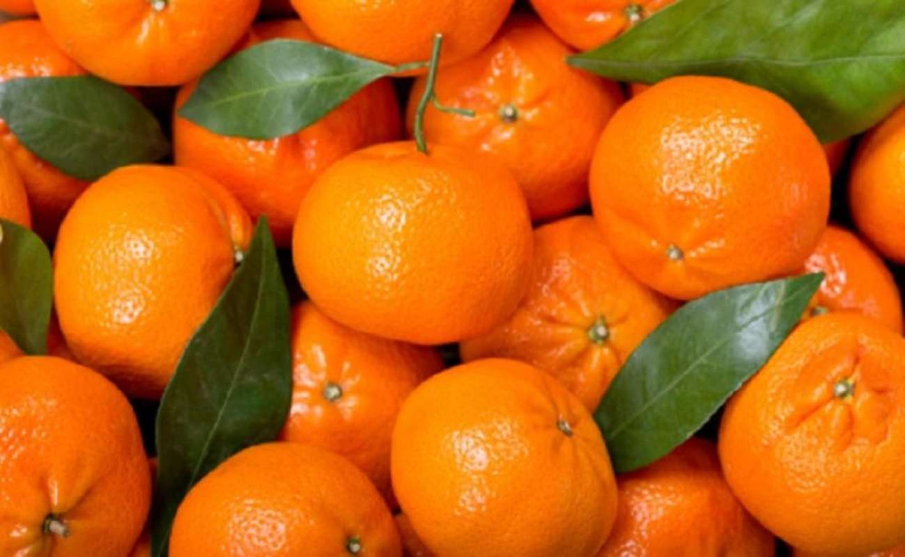 Promo Jeruk Ai Yuan /jeruk Keprok Manis 1 Kg (khusus Instant) Diskon 30 ...