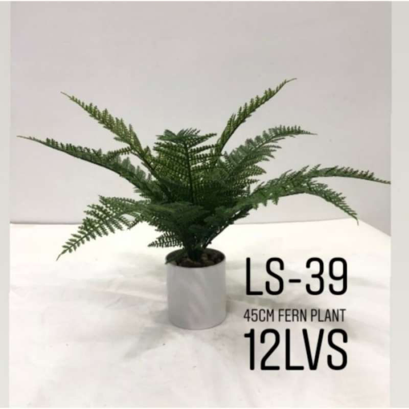 Promo FERN PLANT Diskon 61% di Seller rumahku nyaman - Cengkareng Timur ...