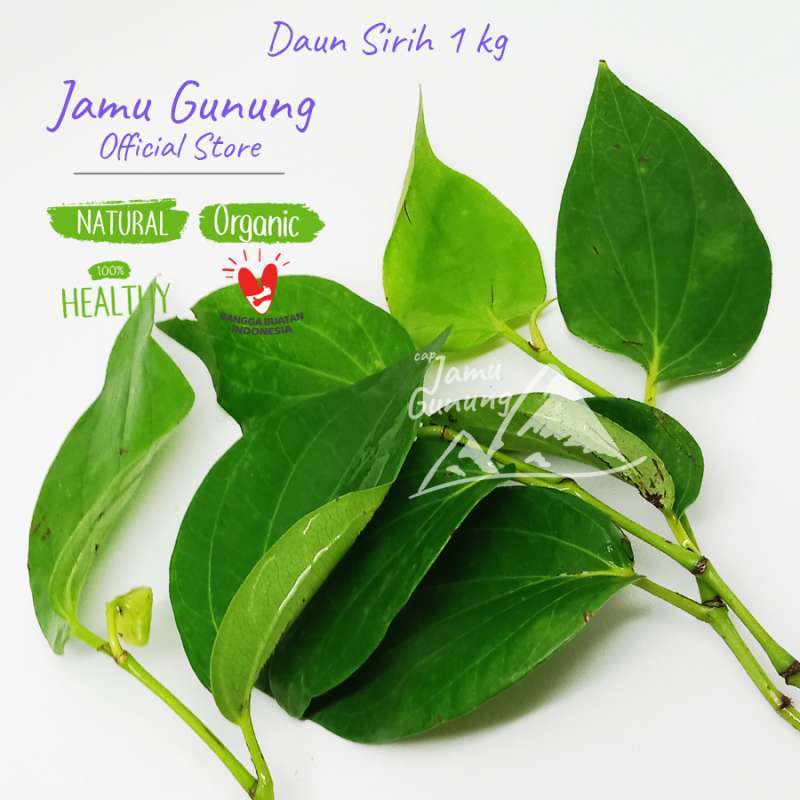 Jual Daun Sirih Hijau Segar 1 Kg Organik - Cocok Untuk Nyirih Di Seller ...