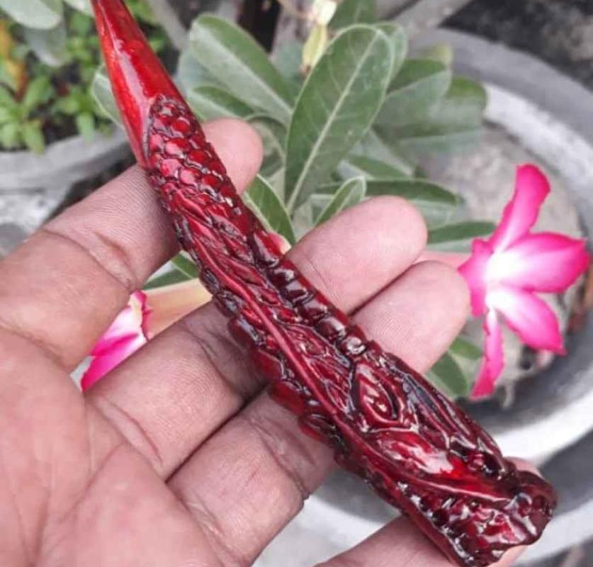 Jual HAKEKAT GALERY HD 050 Pipa Once Akar Bahar Tali Arus Pipa Rokok ...