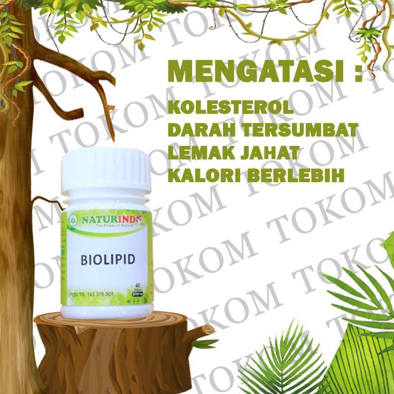 Jual obat herbal kolesterol | Obat Lemak DalamDarah | Obat Penurun ...