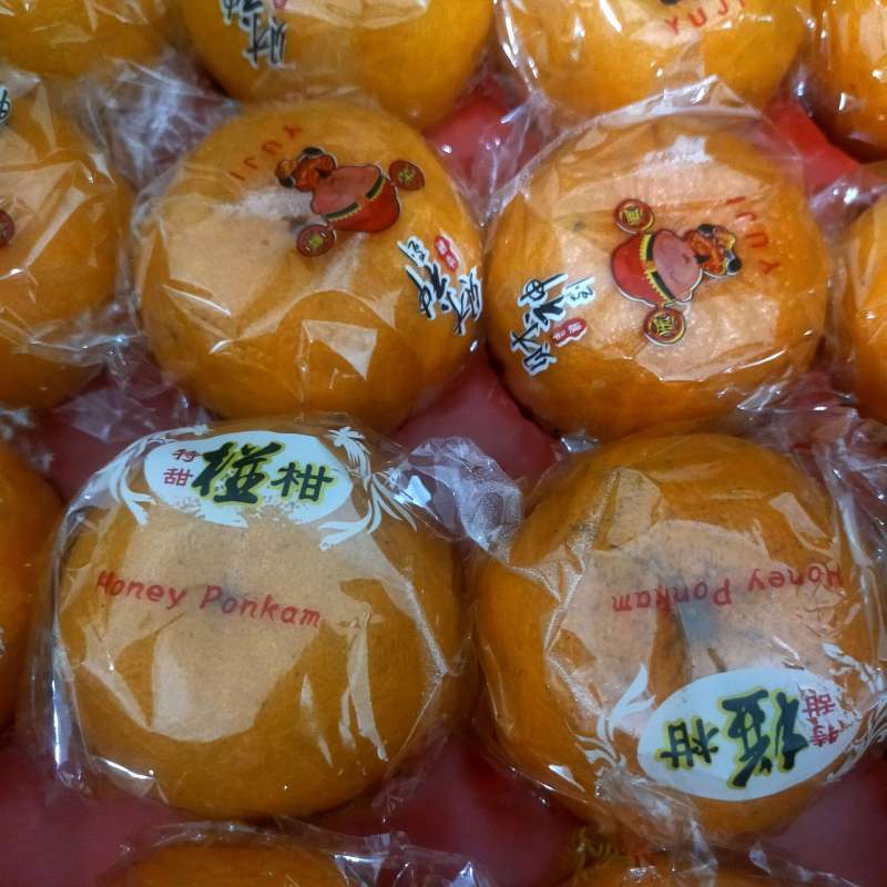 Jual Jeruk Ponkam Manis 1 Kg Termurah - Harga Grosir Terupdate Hari Ini ...