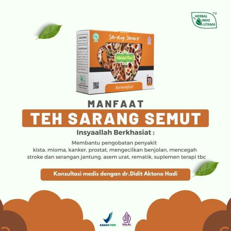 Jual Herbal Indo Utama - Teh Herbal Sarang Semut Menjaga Kesehatan Dan ...