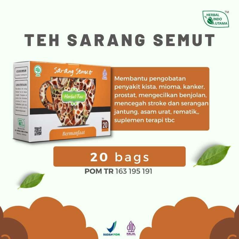 Jual Herbal Indo Utama - Teh Herbal Sarang Semut Menjaga Kesehatan Dan ...