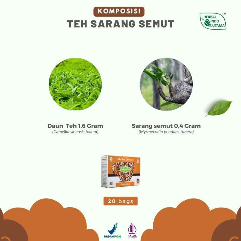 Jual Herbal Indo Utama - Teh Herbal Sarang Semut Menjaga Kesehatan Dan ...