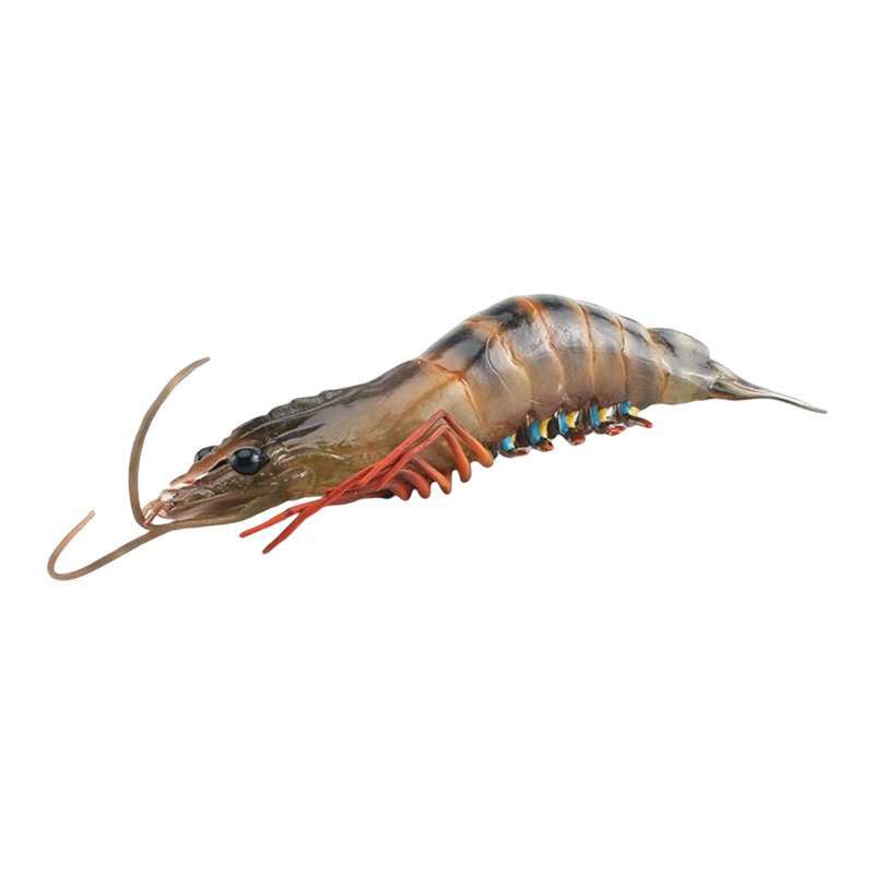 Jual Realistic Prawn Creatures Toy Figures Cognitive Early Learning For ...