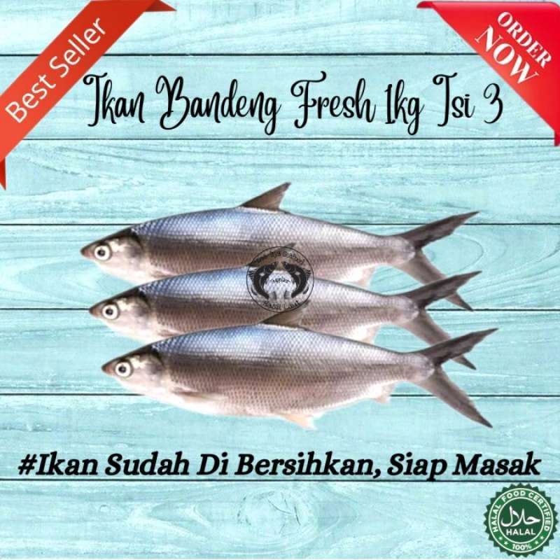 Jual ikan bandeng segar - 1kg 4ekor - 2kg 5ekor di Seller Mina jaya ...