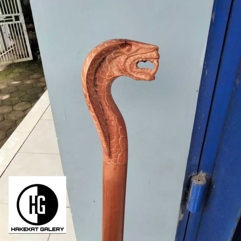 Jual Tongkat Kayu Ukir 🏷️ Original, Model Terlengkap, & Harga Murah ...