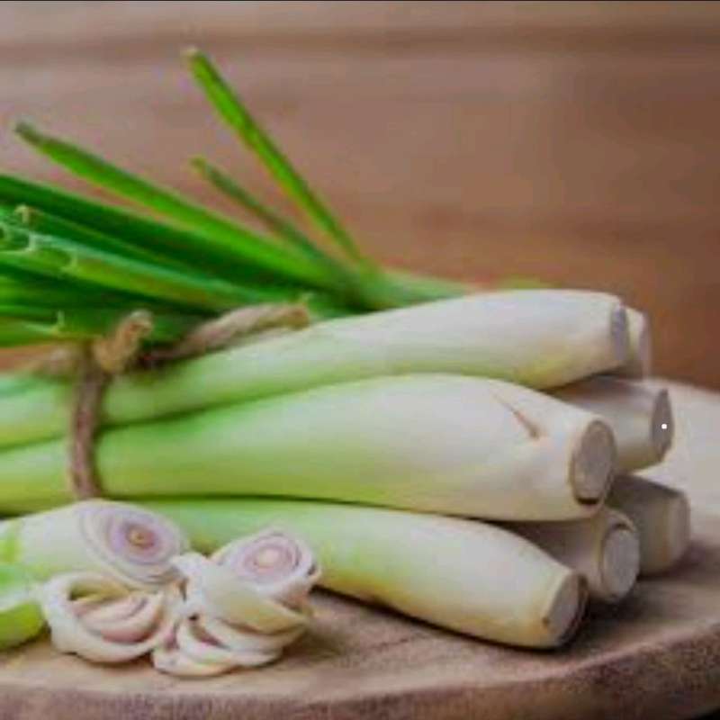 Jual Serai Sereh 1 Ikat 1kg Segar Murah di Seller Anekasembako ...