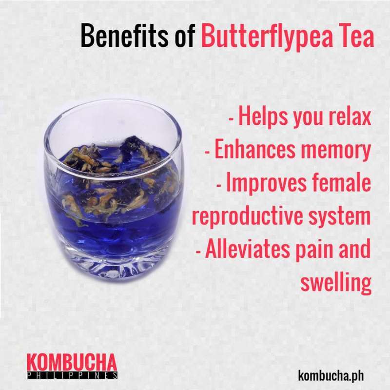 Jual 100 gram Teh Bunga Telang Butterfly Pea Flower Tea di Seller ...