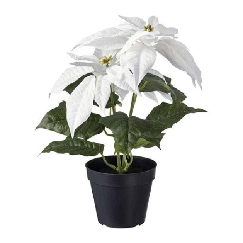 Jual Ikea Tanaman Tiruan Dalam Pot Dalam Luar Ruang Poinsettia - Putih ...