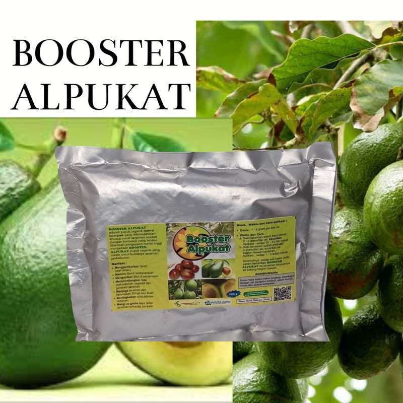 Promo Pupuk Alpukat Cepat Berbuah Pupuk Alpukat Agar Tidak Rontok