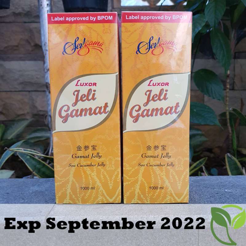 Jeli Gamat Luxor 1000 Ml Lengkap Harga Terbaru Maret 2024 | Blibli