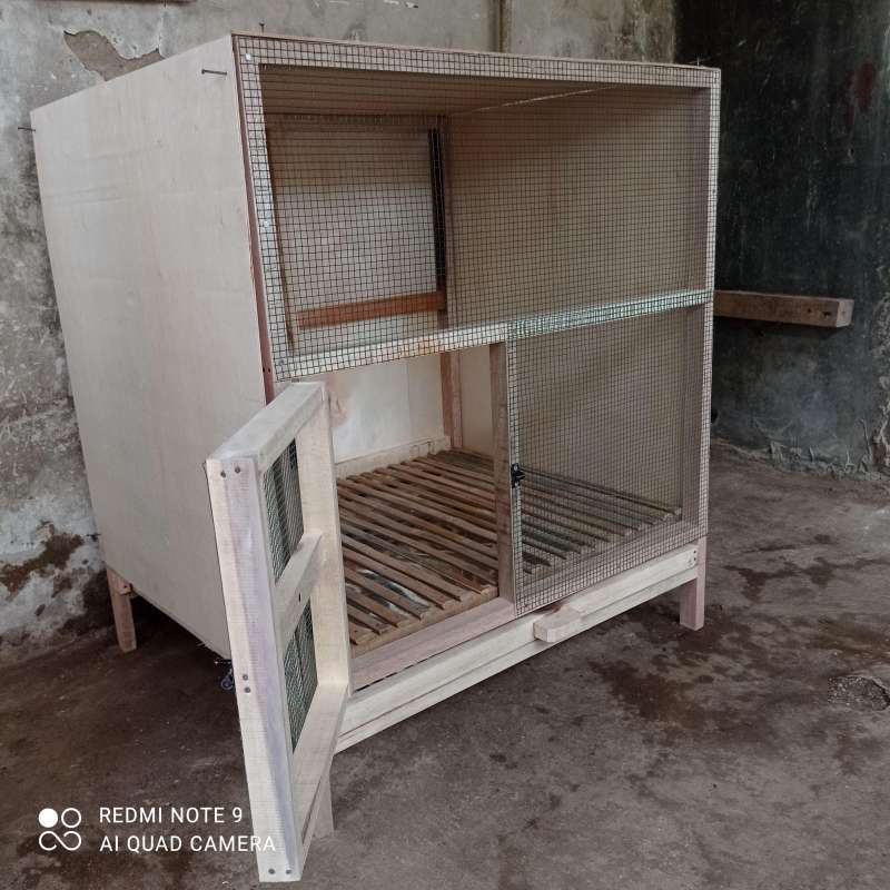 Kandang Box Ayam Kampung