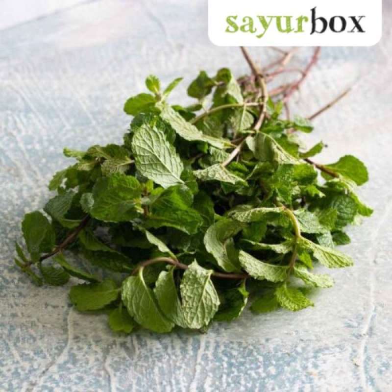 Jual Daun Mint Konvensional 50 gram Sayurbox - JKT di Seller Sayurbox ...