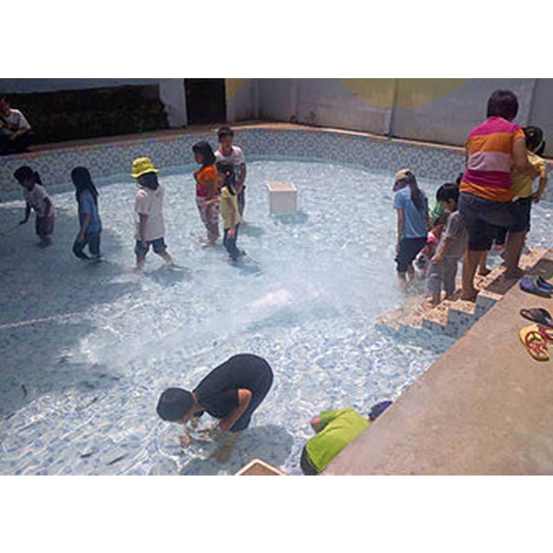 Jual Bfc Mini Farm Wisata Edukasi Untuk Anak Bintaro Di Seller Bfc Mini ...