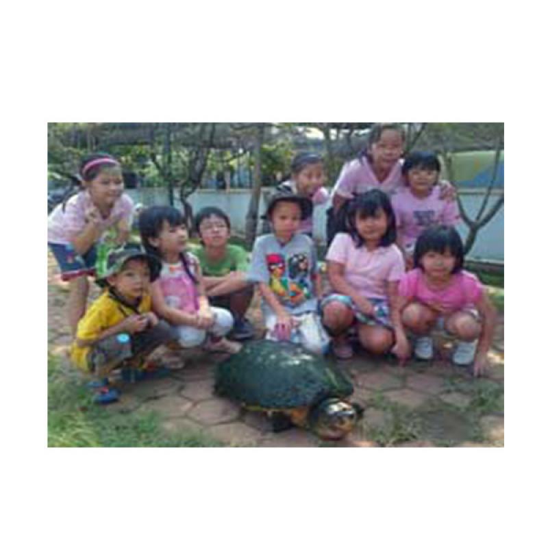 Jual Bfc Mini Farm Wisata Edukasi Untuk Anak Bintaro Di Seller Bfc Mini ...