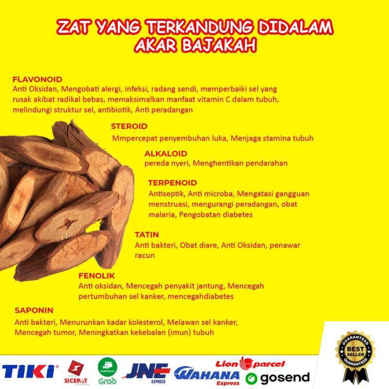 Jual Akar Bajakah Kuning Obat Diabetes Liver Kayu Bajakah Kuning Asli ...