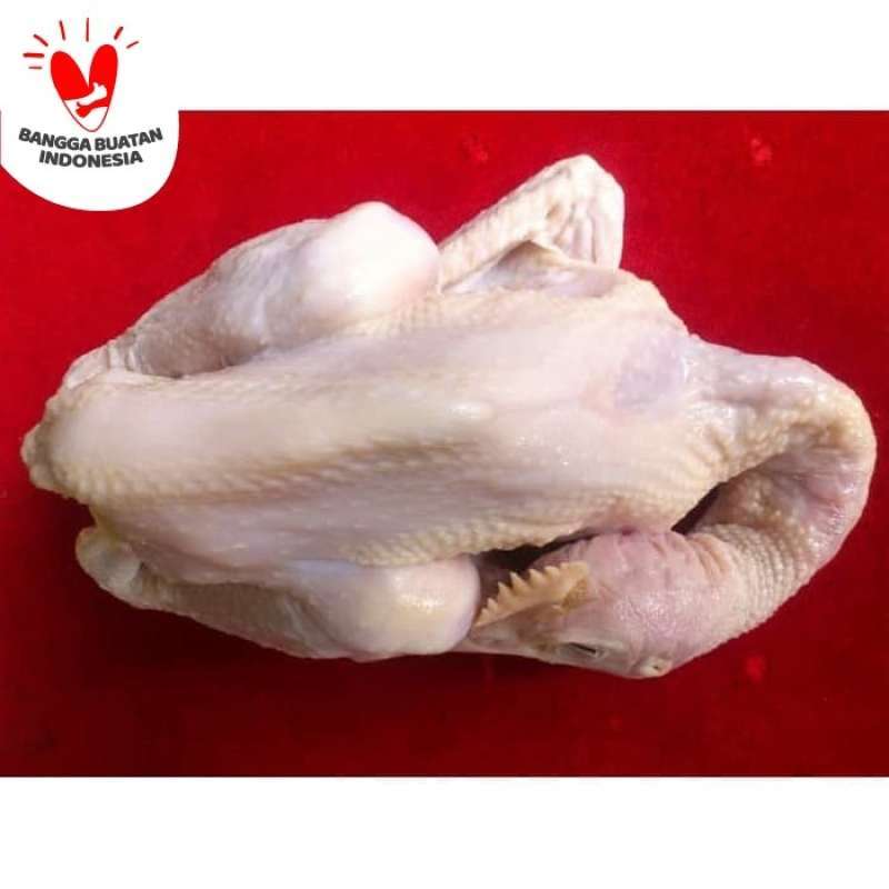 Jual Ayam Potong Pejantan Berat 700-800 Gram / Ekor di Seller SAJIRA ...