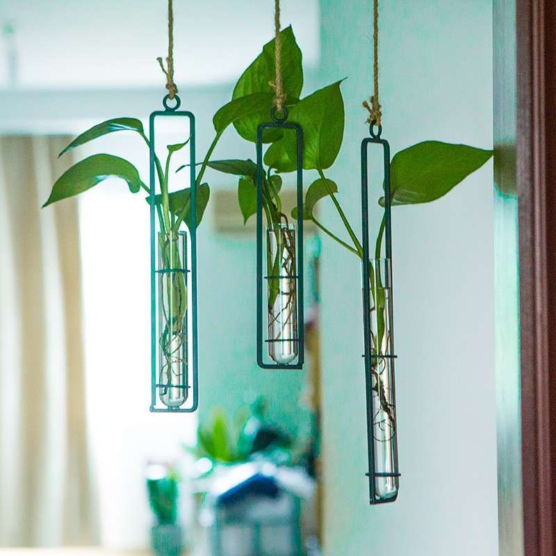 Jual Iron Hanging Rack Pot Bunga Gantung Besi Botol Kaca Vase Gantung ...