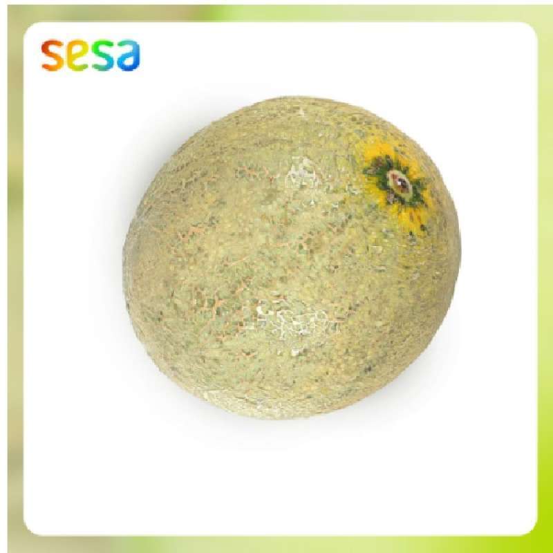 Jual Melon Sky Rocket /pcs Di Seller Sesa Official Store - Sesa Organic ...