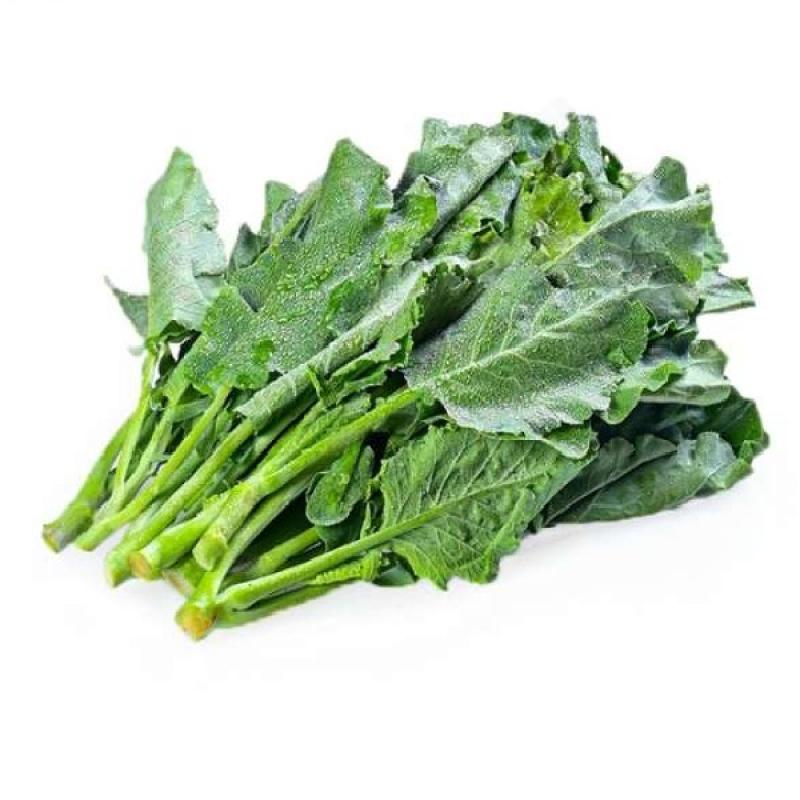 Promo Sayur Kailan Organik /200 g Diskon 34% di Seller Sesa Official ...