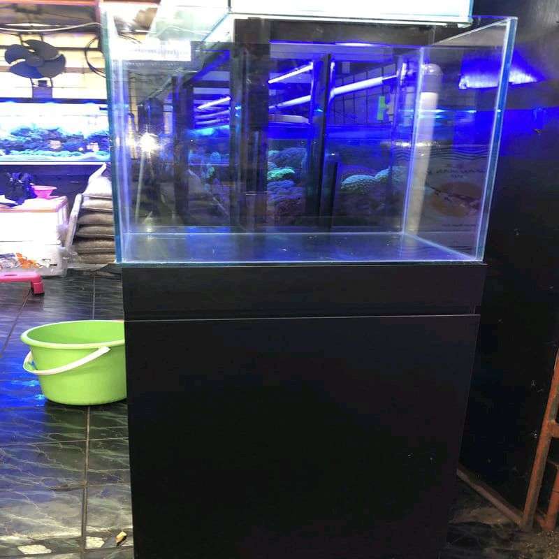 Jual aquarium kabinet di Seller Aufaa - Sudimara Selatan, Kota ...