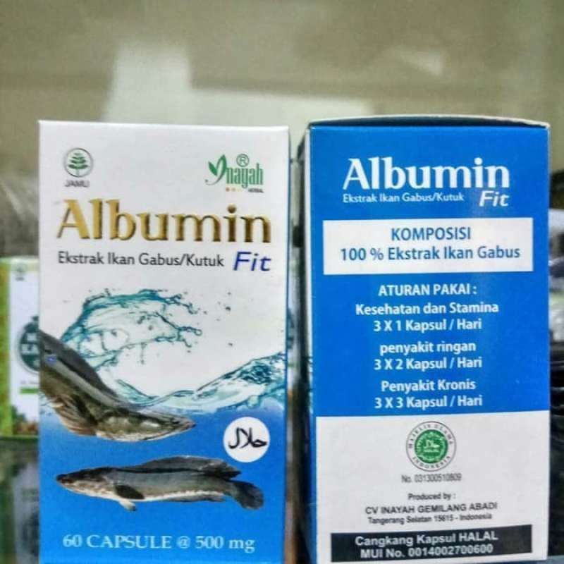 Promo Albumin Fit - Kapsul Ekstrak Ikan Gabus Isi 60 Kapsul Diskon 45% Di Seller Kalimantan ...