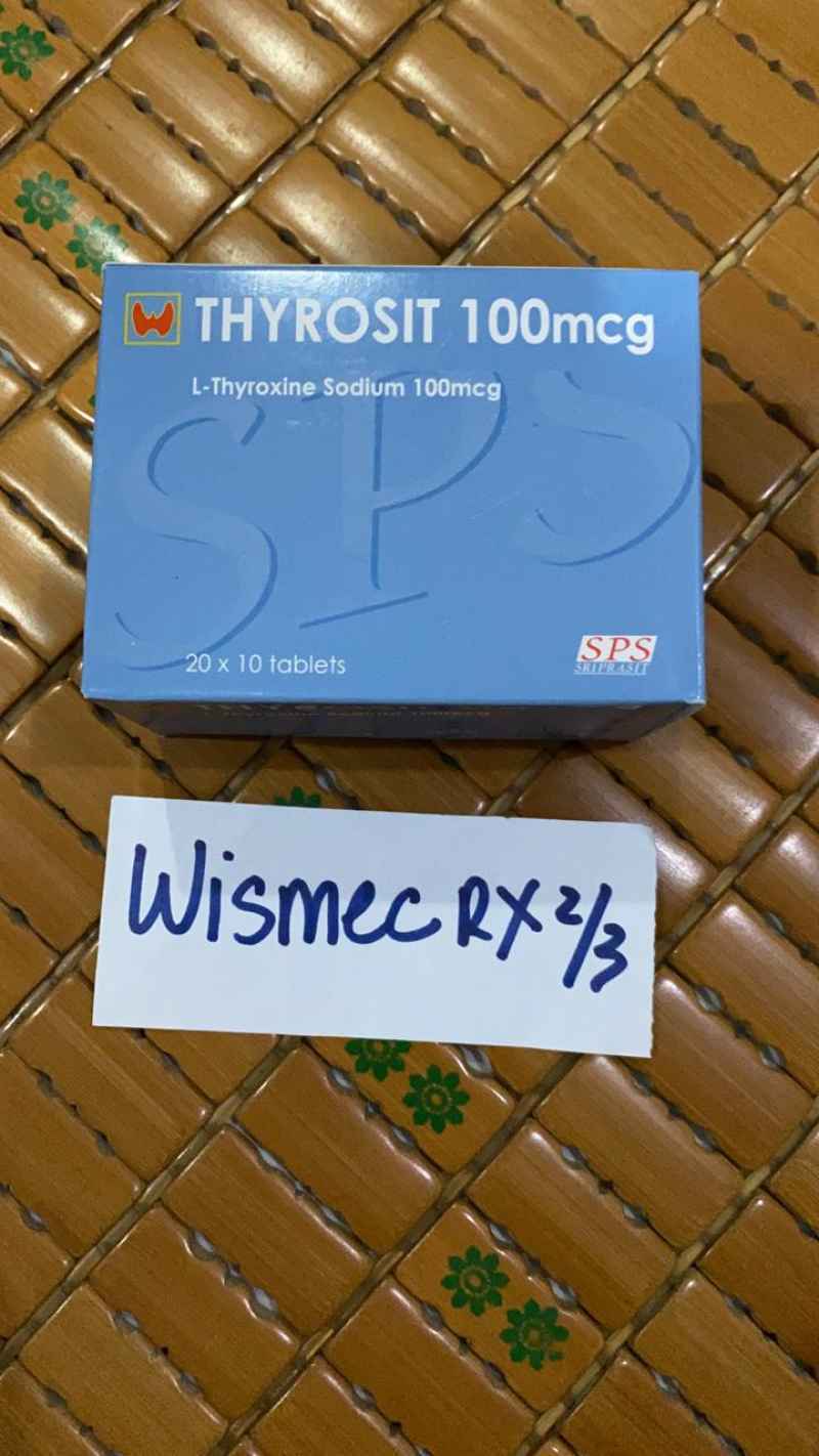 Thyrosit 100 Mcg Lengkap Harga Terbaru Agustus 2024 | Blibli