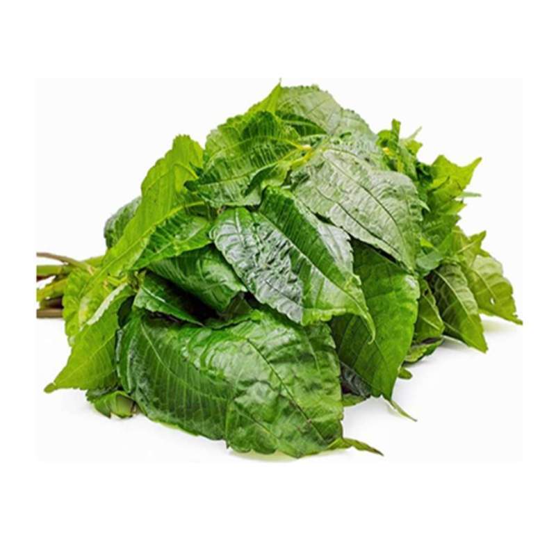 Jual Daun Pohpohan 1pax di Seller healthy tasty - Pesanggrahan, Kota ...