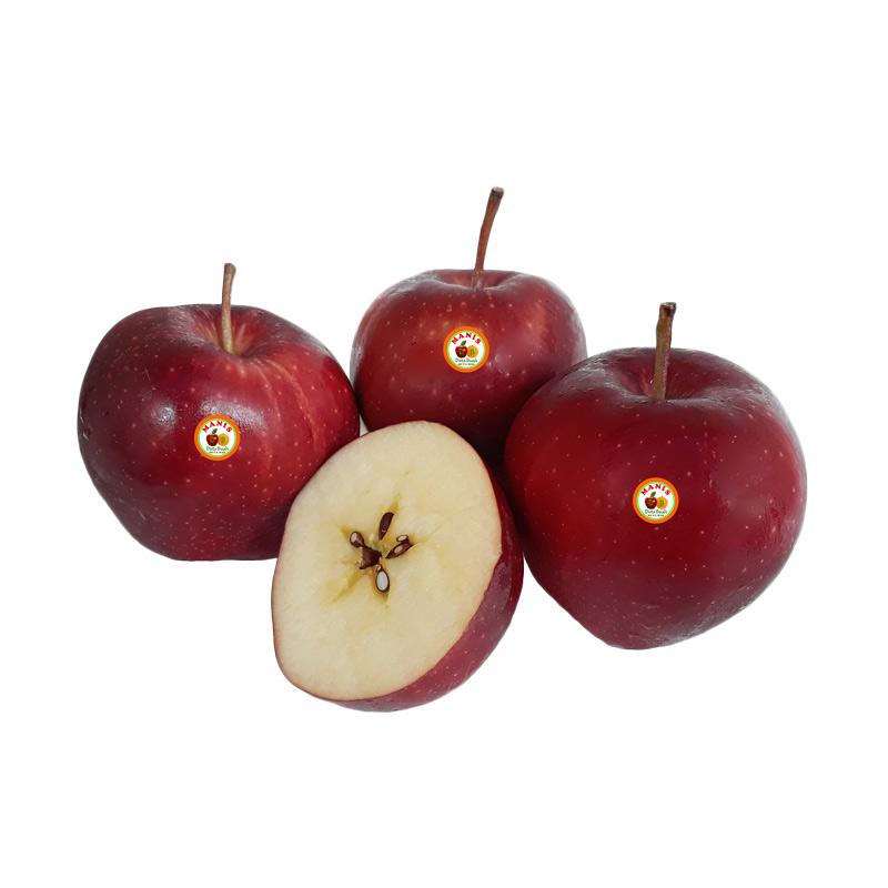 Jual Duta Buah Apel Merah Super (+-0.9g-1kg/+-6-9buah) Di Seller Duta ...