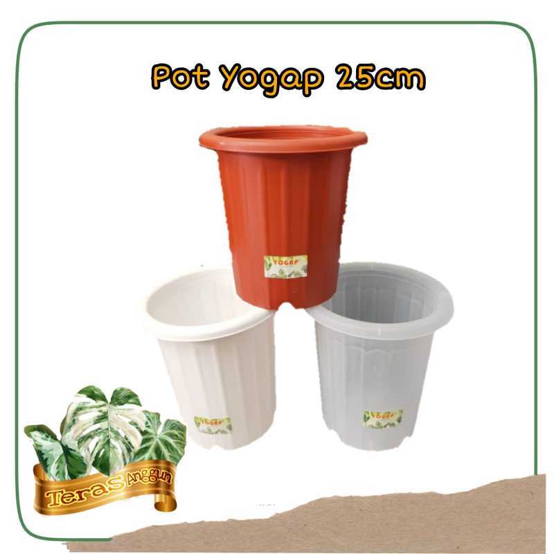 Jual POT Yogap POT Tanaman POT tinggi putih orange transparan POT ...