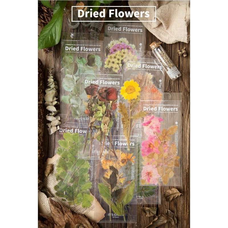 Jual Sticker bunga kering Scrapbooking Stiker DIY Dekoratif Kertas ...