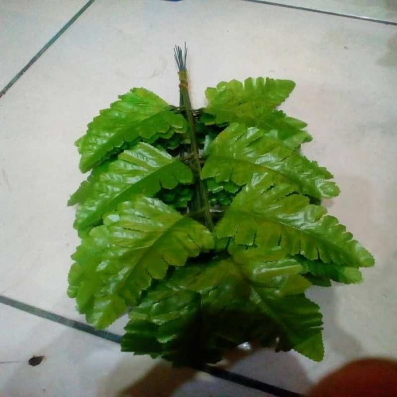 Jual Jual DAUN HIAS DAUN ARTIFICIAL DAUN RAMBAT DAUN PLASTIK DAUN PAKIS ... Jual Jual DAUN HIAS DAUN ARTIFICIAL DAUN RAMBAT DAUN PLASTIK DAUN PAKIS ...