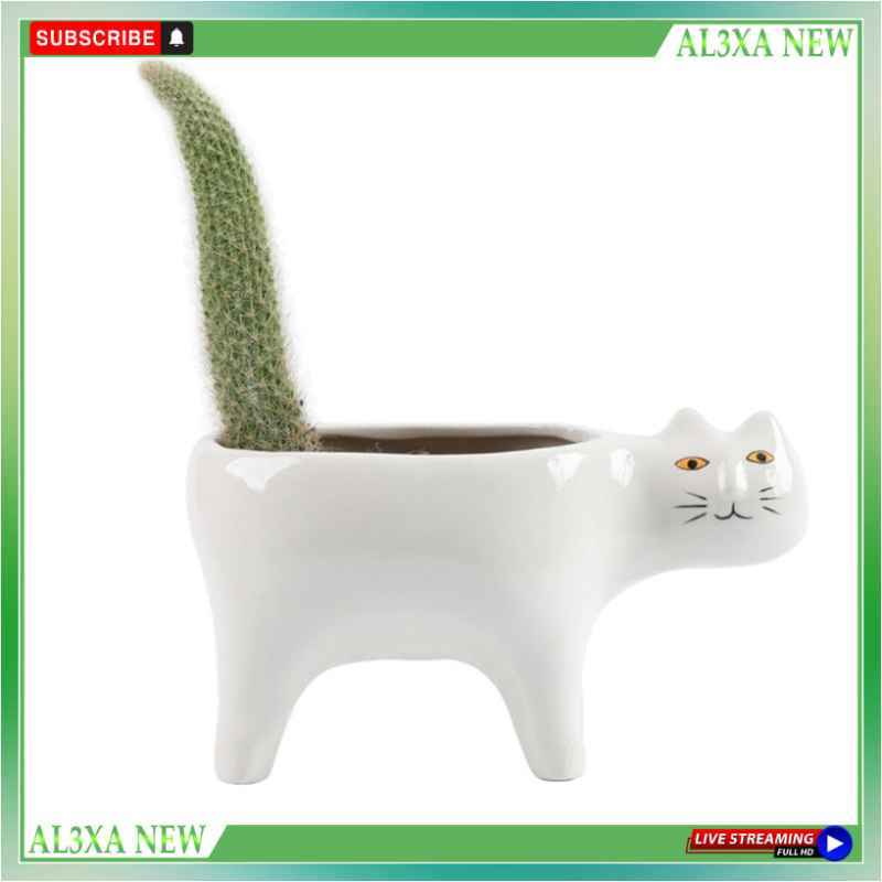 Promo Pot Bunga Tanaman Kaktus Desain Kartun Kucing Bahan Keramik ...