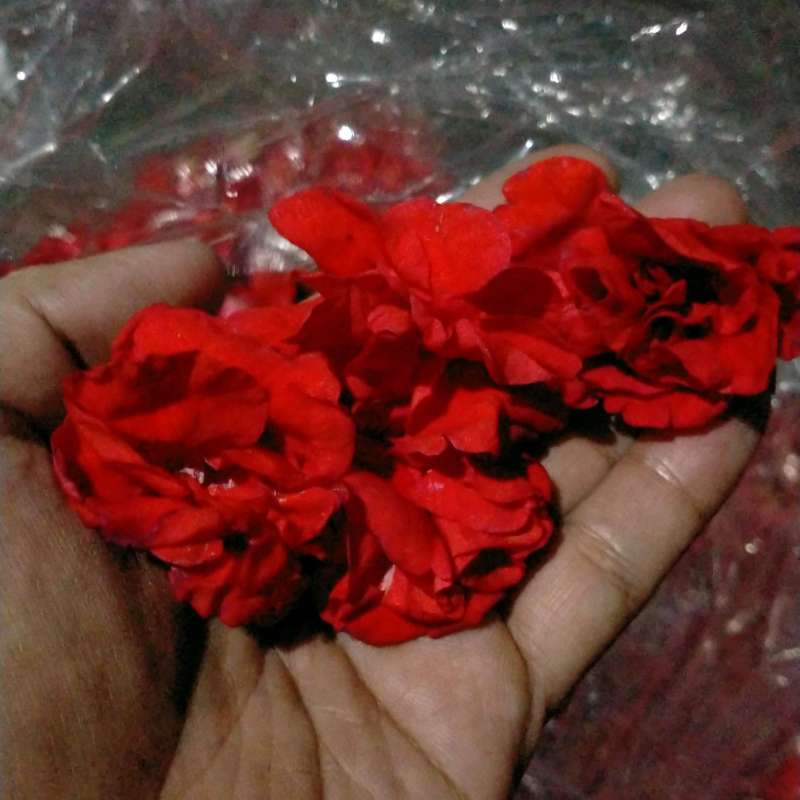 Jual Bunga Mawar Tabur Di Seller Aurel Florist - Palmerah, Kota Jakarta ...