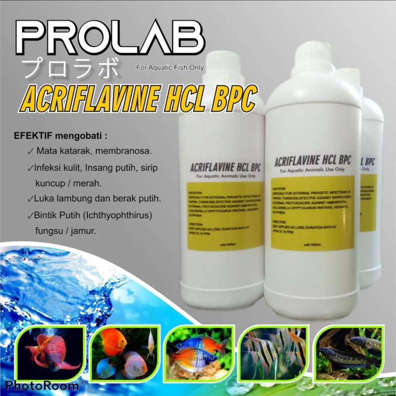 Jual Tangki 25 Liter Original Murah - Harga Diskon Juli 2024 | Blibli