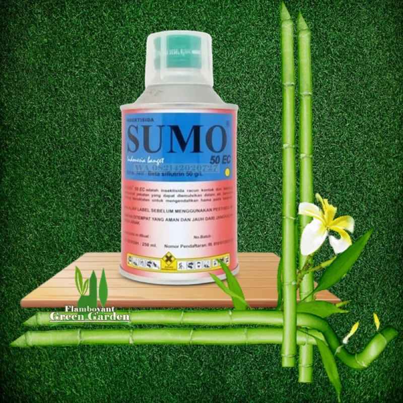 Jual Insektisida Sumo 50ec 250ml Efektif Mengendalikan Hama Ulat Grayak ...