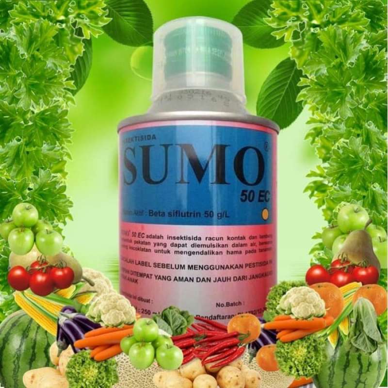 Jual Obat Hama Ulat Grayak Dan Lalat Buah Insektisida Sumo 50ec 250ml ...